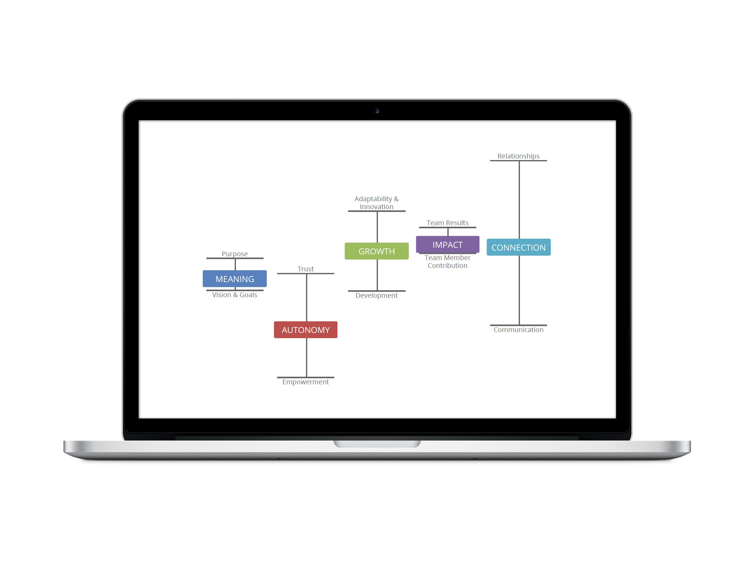Engagement MAGIC® Team Survey | Success Programme